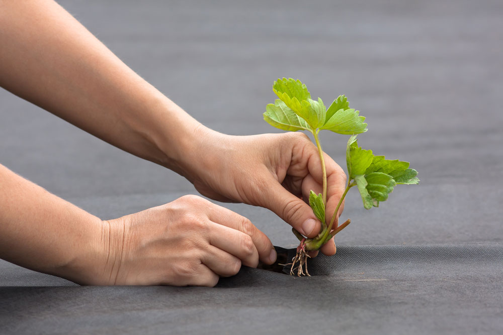 Ramina srl - PP Spunbond and Meltblown applications