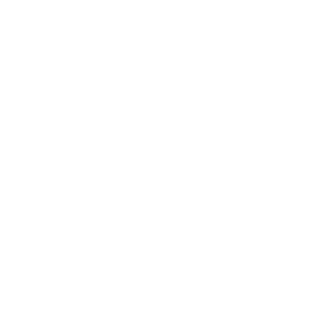 Ramina srl - PP Spunbond and Meltblown applications