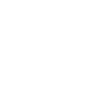 Ramina srl - PP Spunbond and Meltblown applications